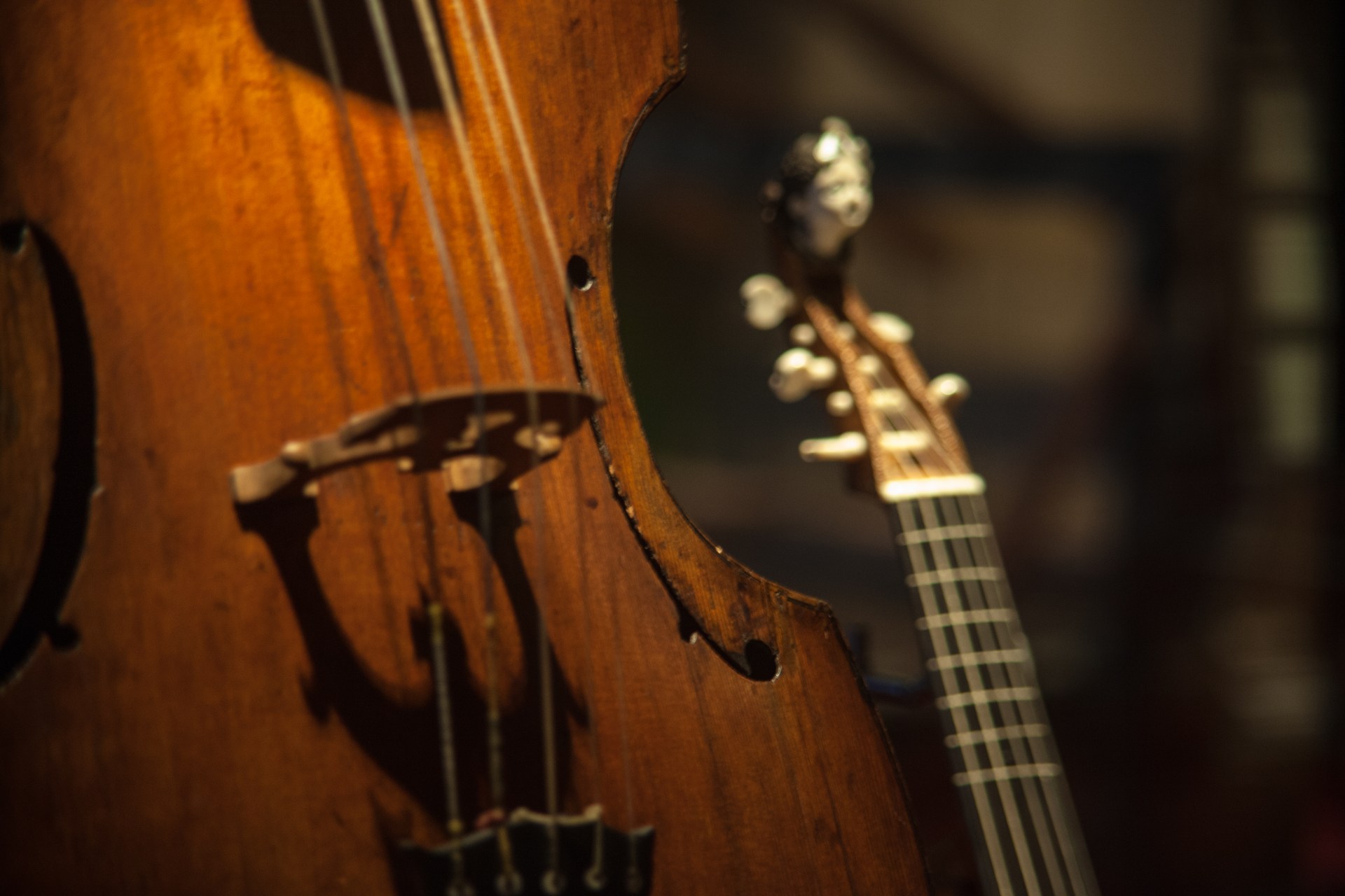 Cinderella No More: A Brief History of the Viola – The Poor Print