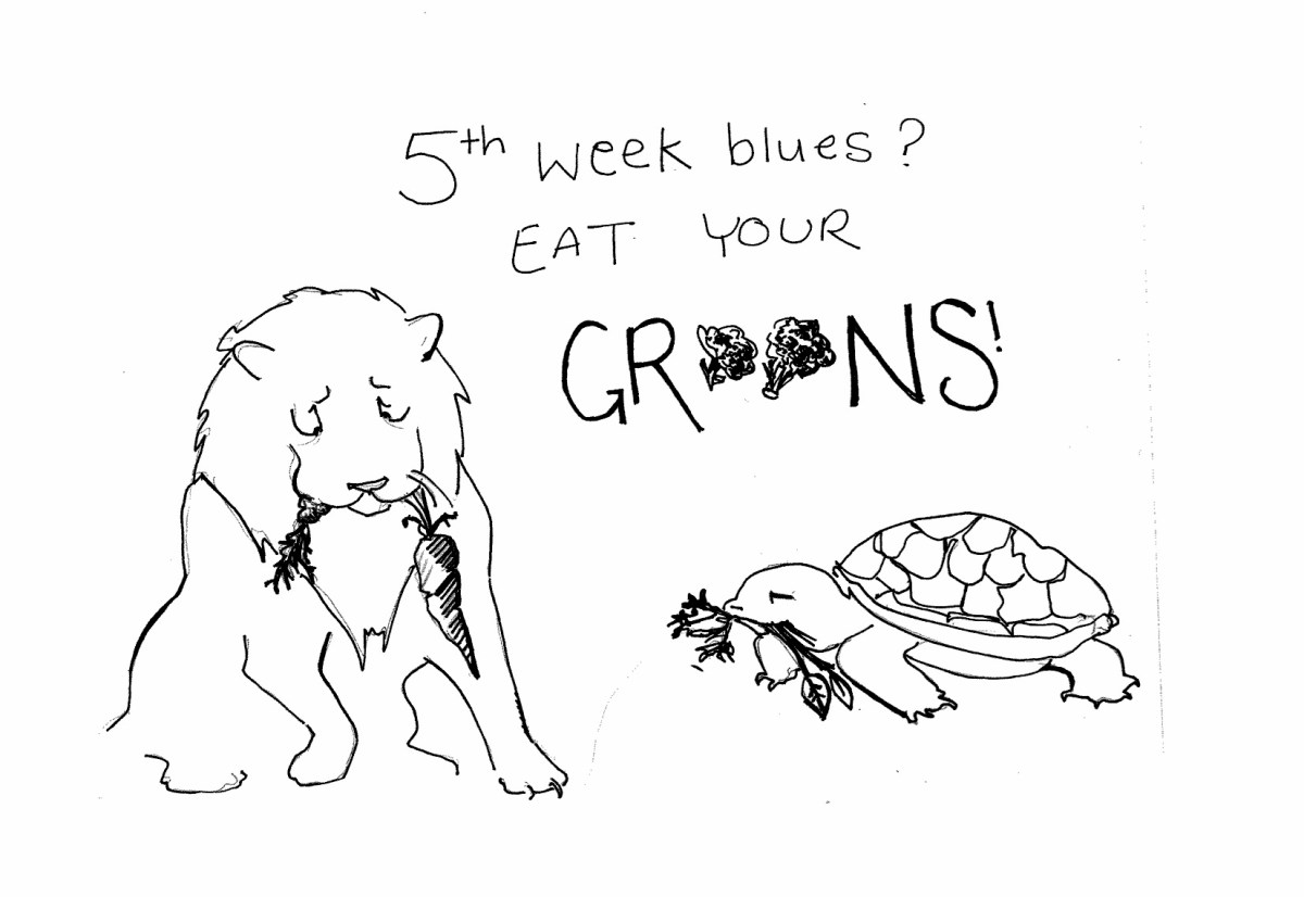 ‘5th Week’ – A Cartoon – The Poor Print